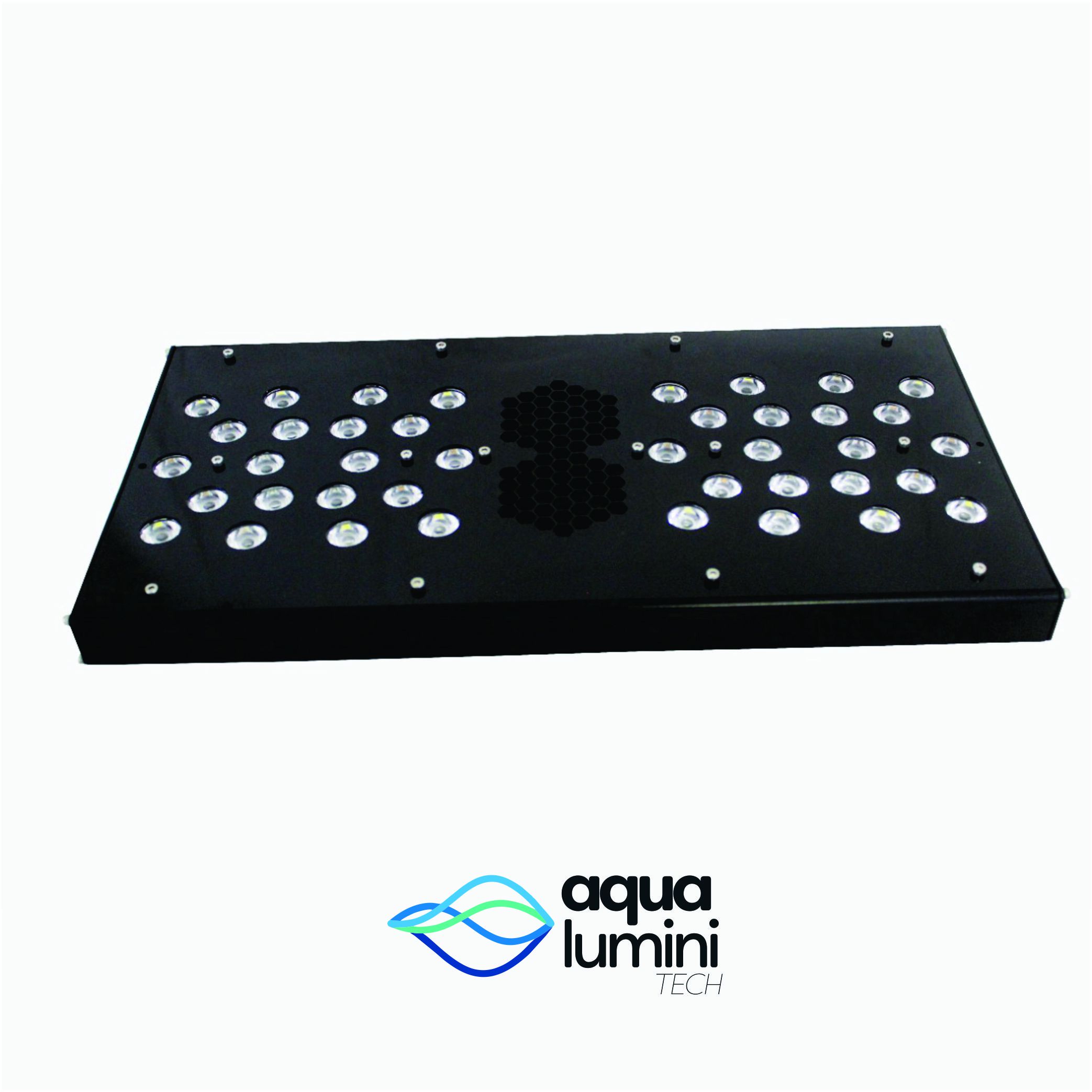 Solarium Plant 40cm | Aqua Lumini Store