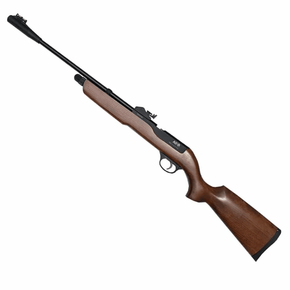 Carabina De Pressão Co2 Xisico Xs60c 5.5mm - Airsoft e Armas de Pressão ...