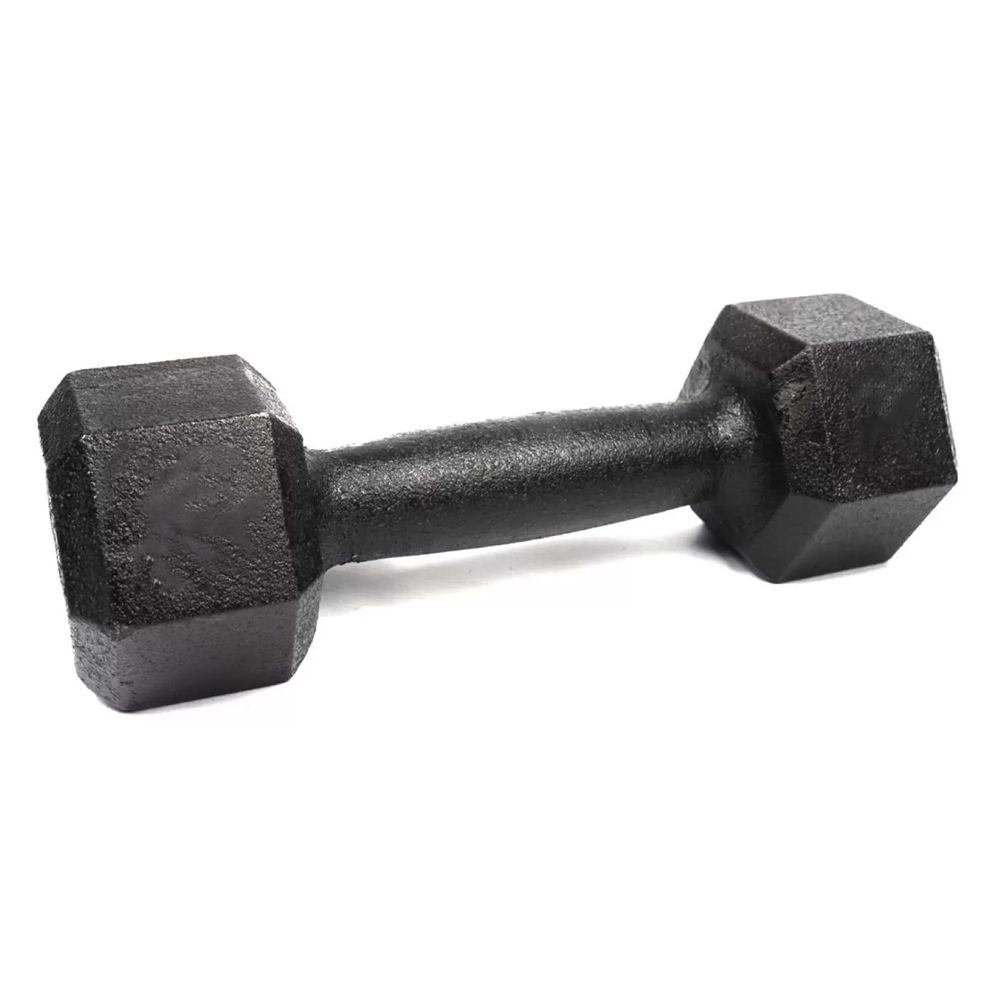 HALTER SEXTAVADO 10KG PINTADO - UNIDADE | INICIATIVA FITNESS ...