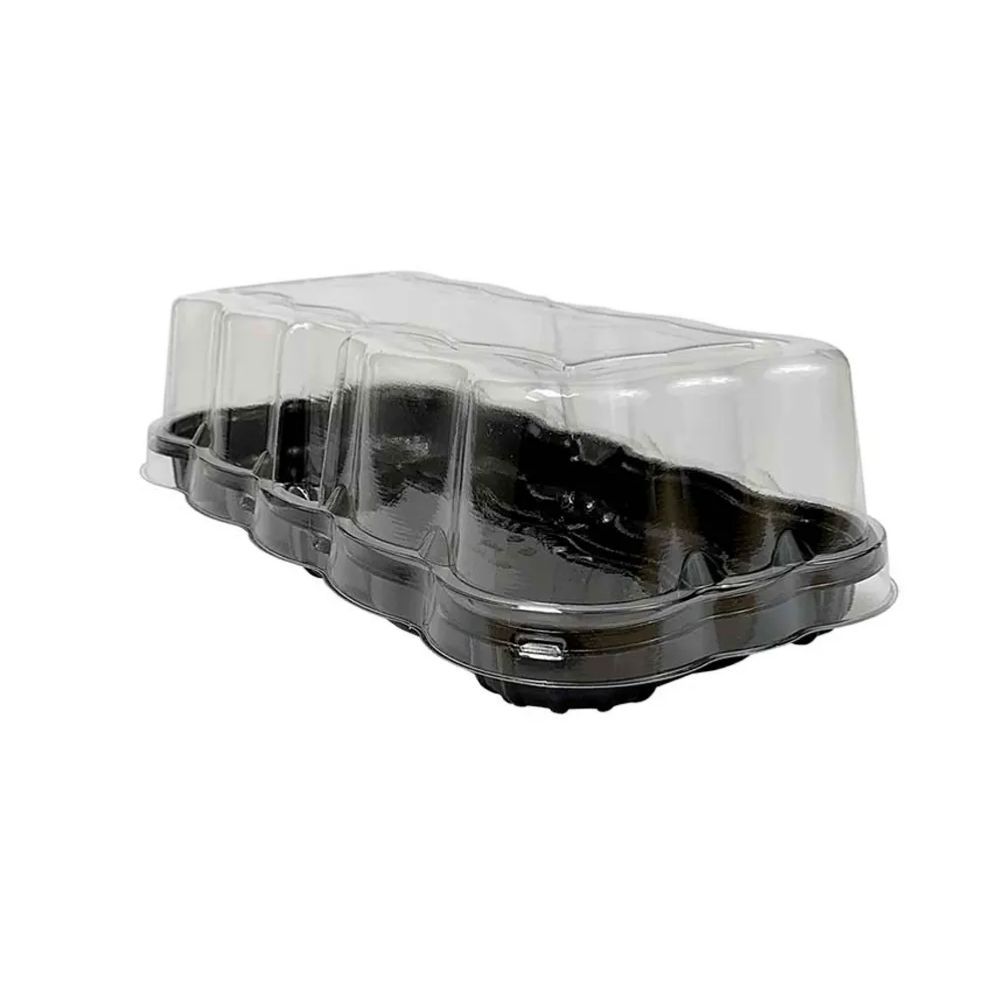 G 61 F- BAIXA EMB ROCAMB RETAN PCT/10