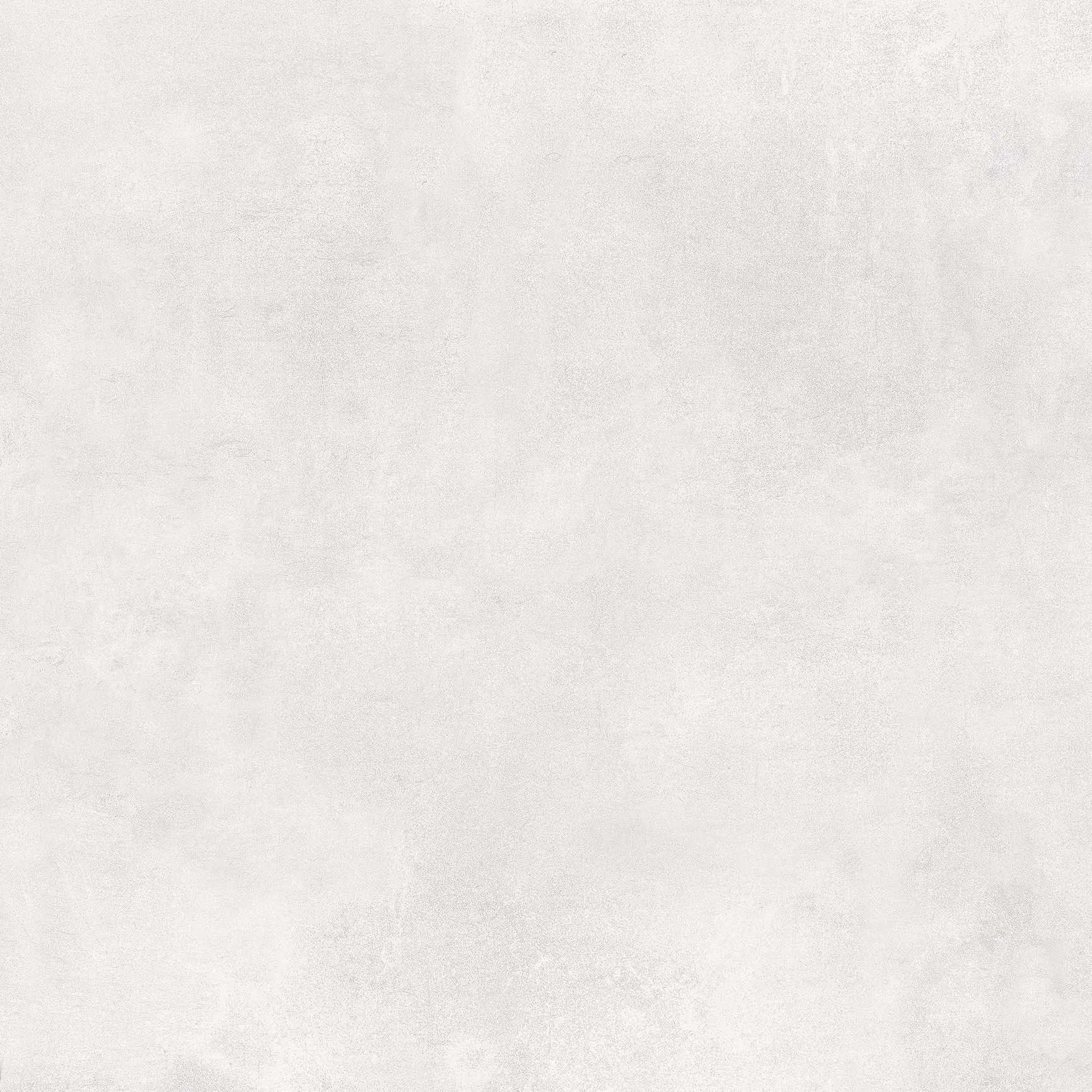 PISO CEDASA RETIFICADO 1730 56,9X56,9 | Degraus Materiais de Construção