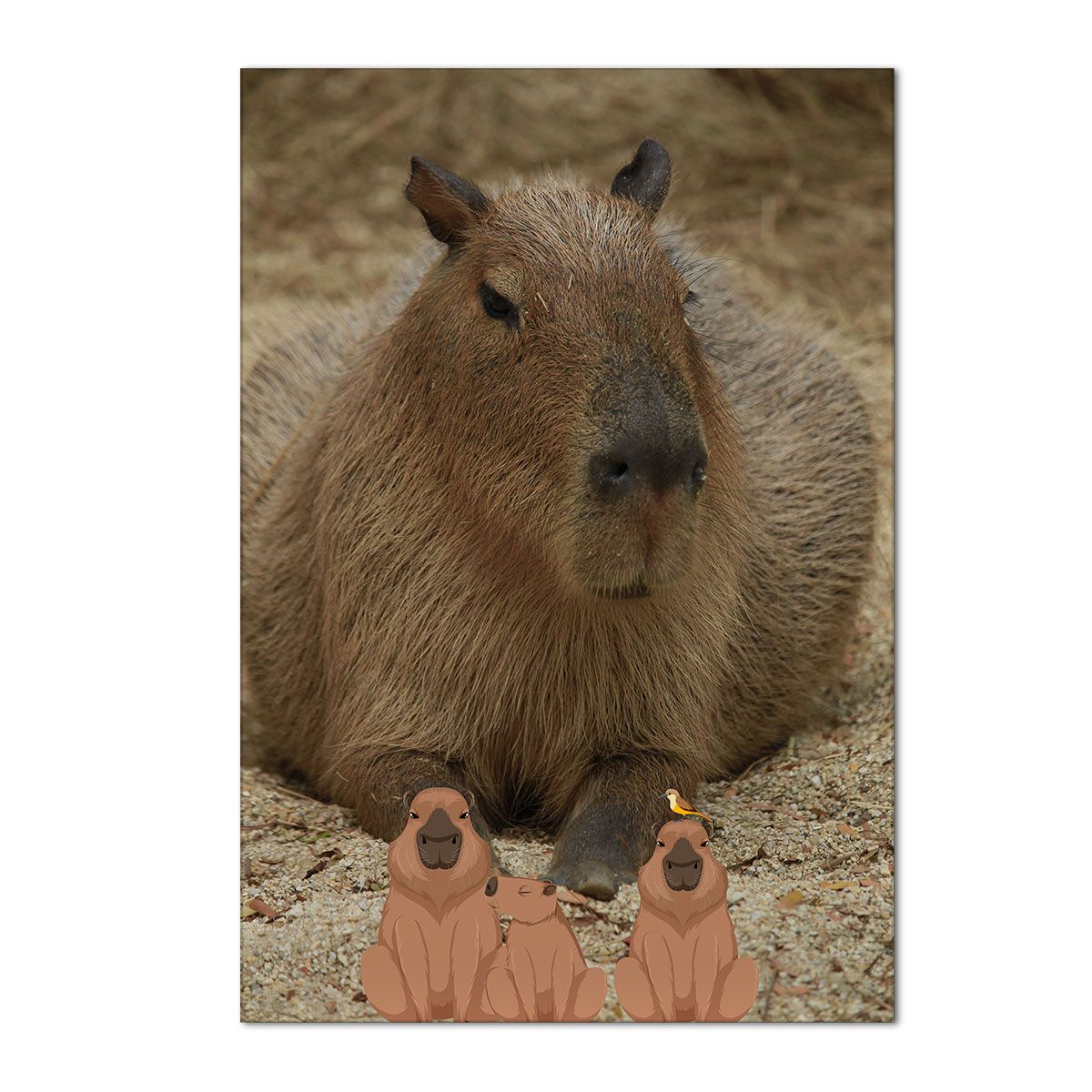 Painel Retangular Tema Capivara 3 | ESTAMPARIA NET