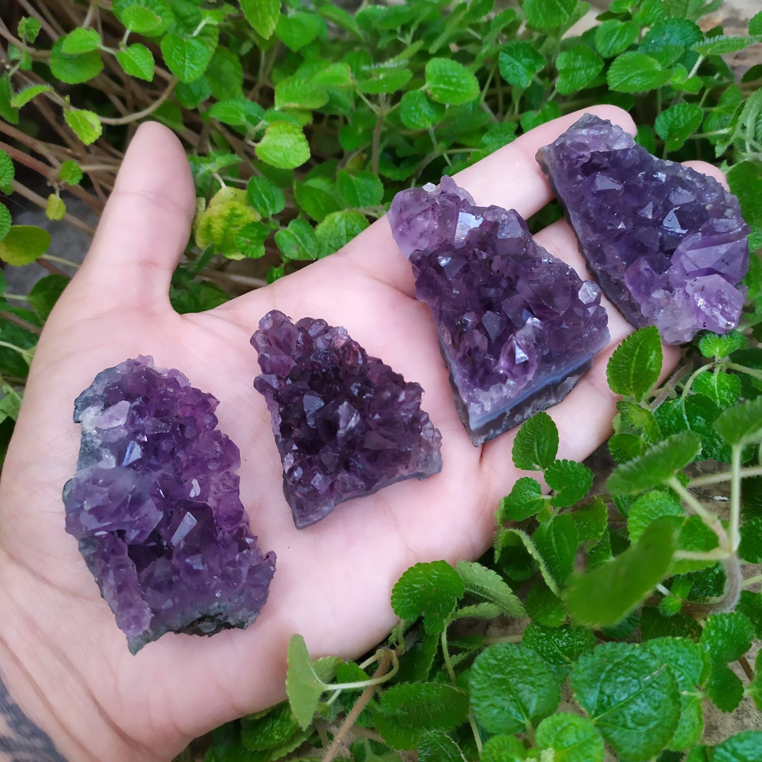 Drusa de Ametista P - 24 á 56g | Ktw Cristais