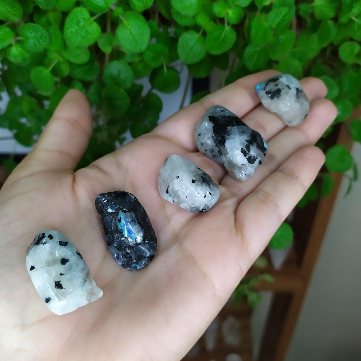 PEDRA DA LUA ARCO-ÍRIS ROLADA - EMOÇÕES | Ktw Cristais