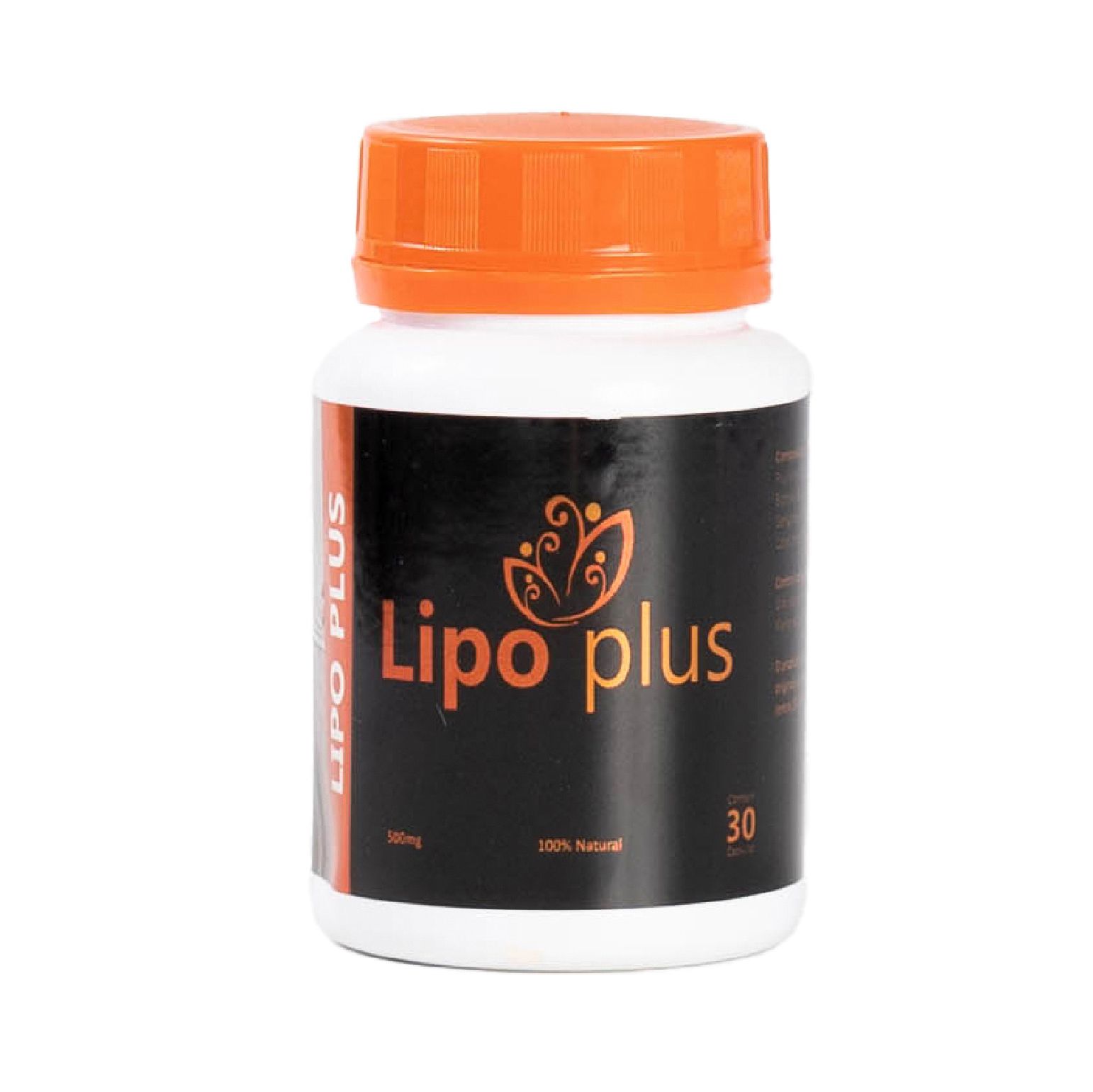 Lipo Plus | LIPOPLUS
