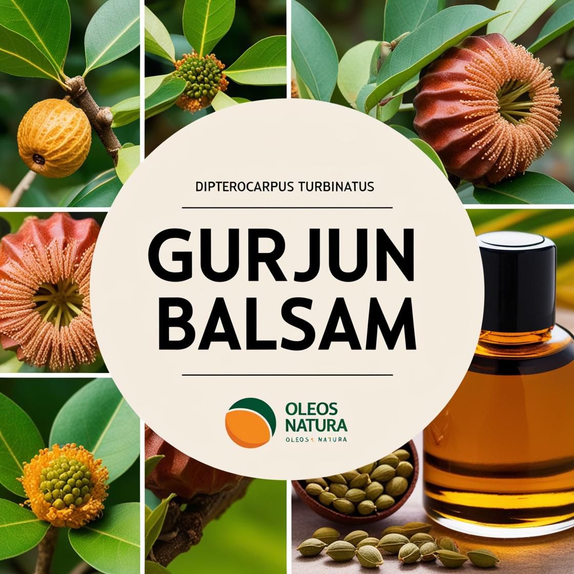 Óleo Essencial GURJAN COPAENO - GURJUN BALSAM | ÓLEOS NATURA