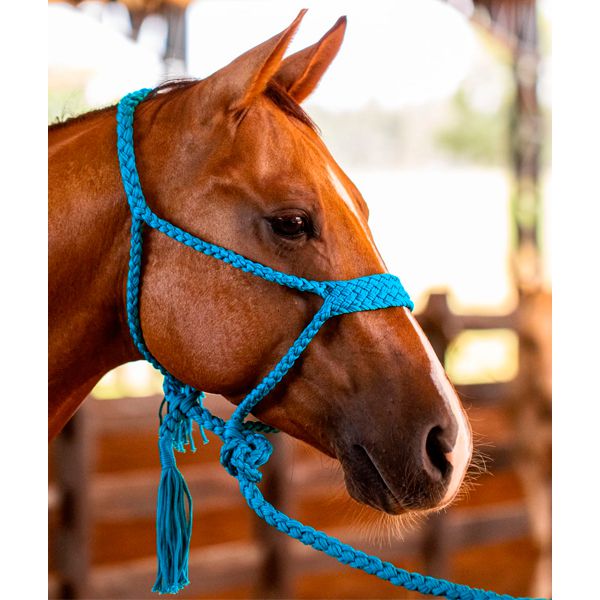 Cabresto Paracord para Cavalo Azul Trquesa Trançado e Reforçado | Alta ...