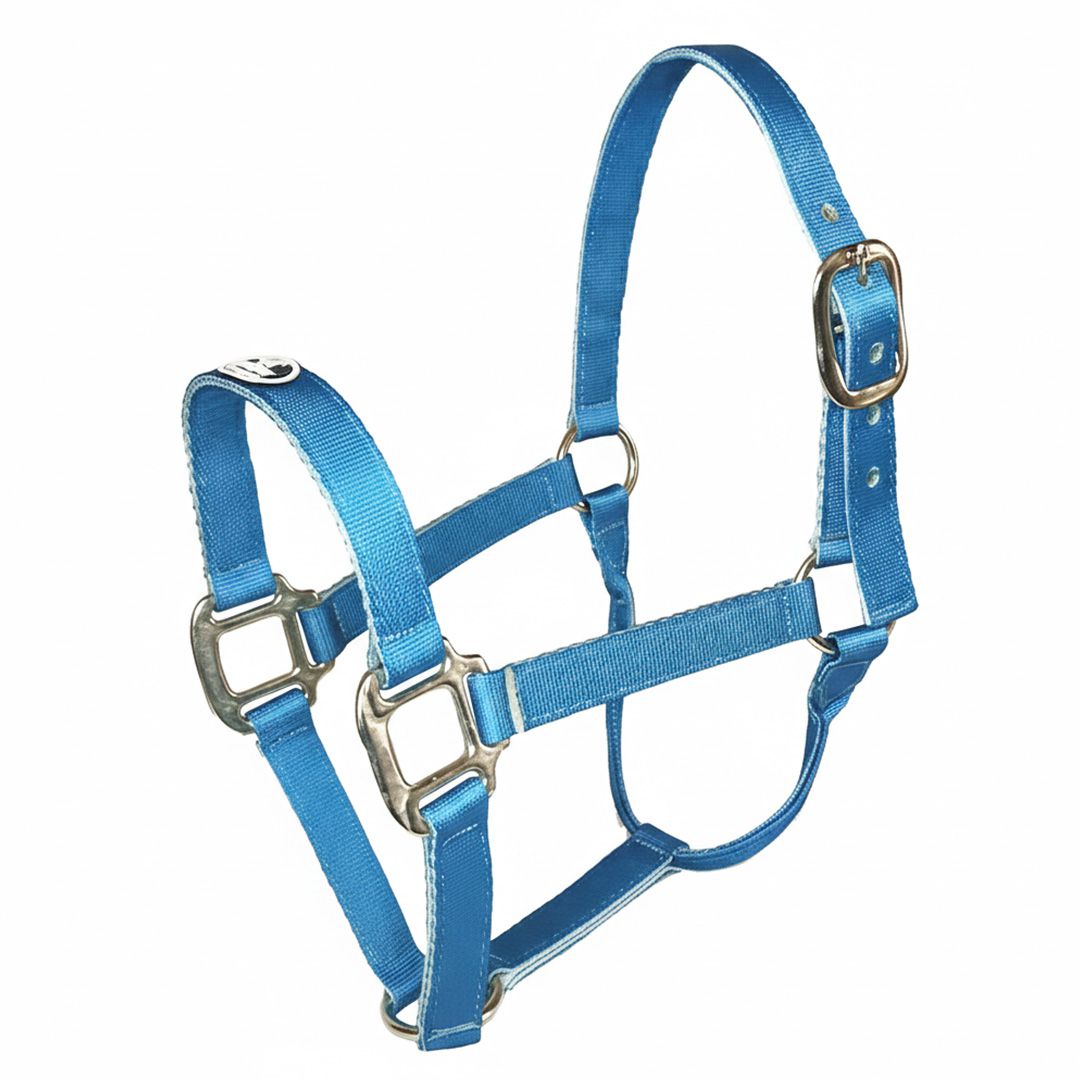 Cabresto de Nylon Azul Turquesa Boots Horse com Regulagem - Tamanhos ...