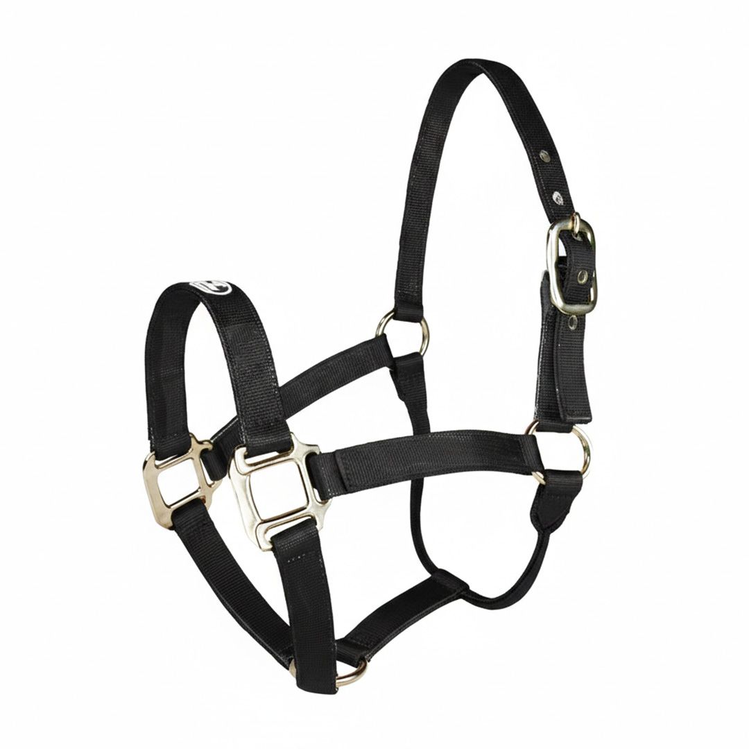 Cabresto de Nylon Marrom Boots Horse com Regulagem - Tamanhos: PP, P, M ...
