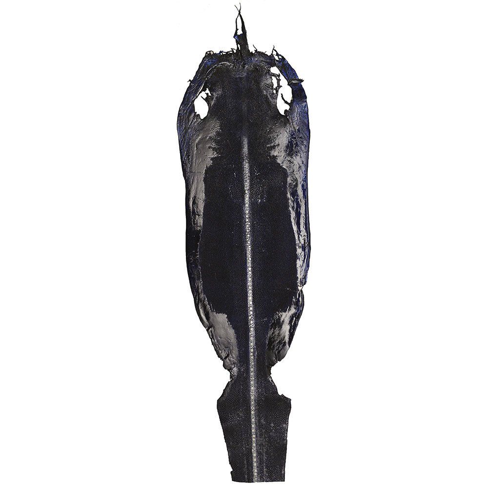 Couro de Arraia Linha (Dasyatis spp.) MARINHO | Taia