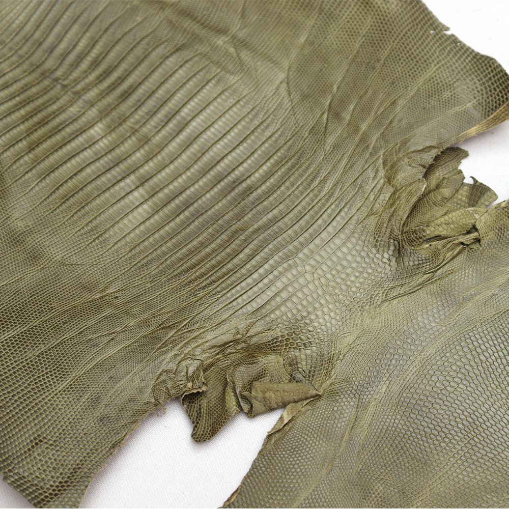 Couro Exótico De Lagarto Teiú (Tupinambis rufescens) VERDE MUSGO G | Taia