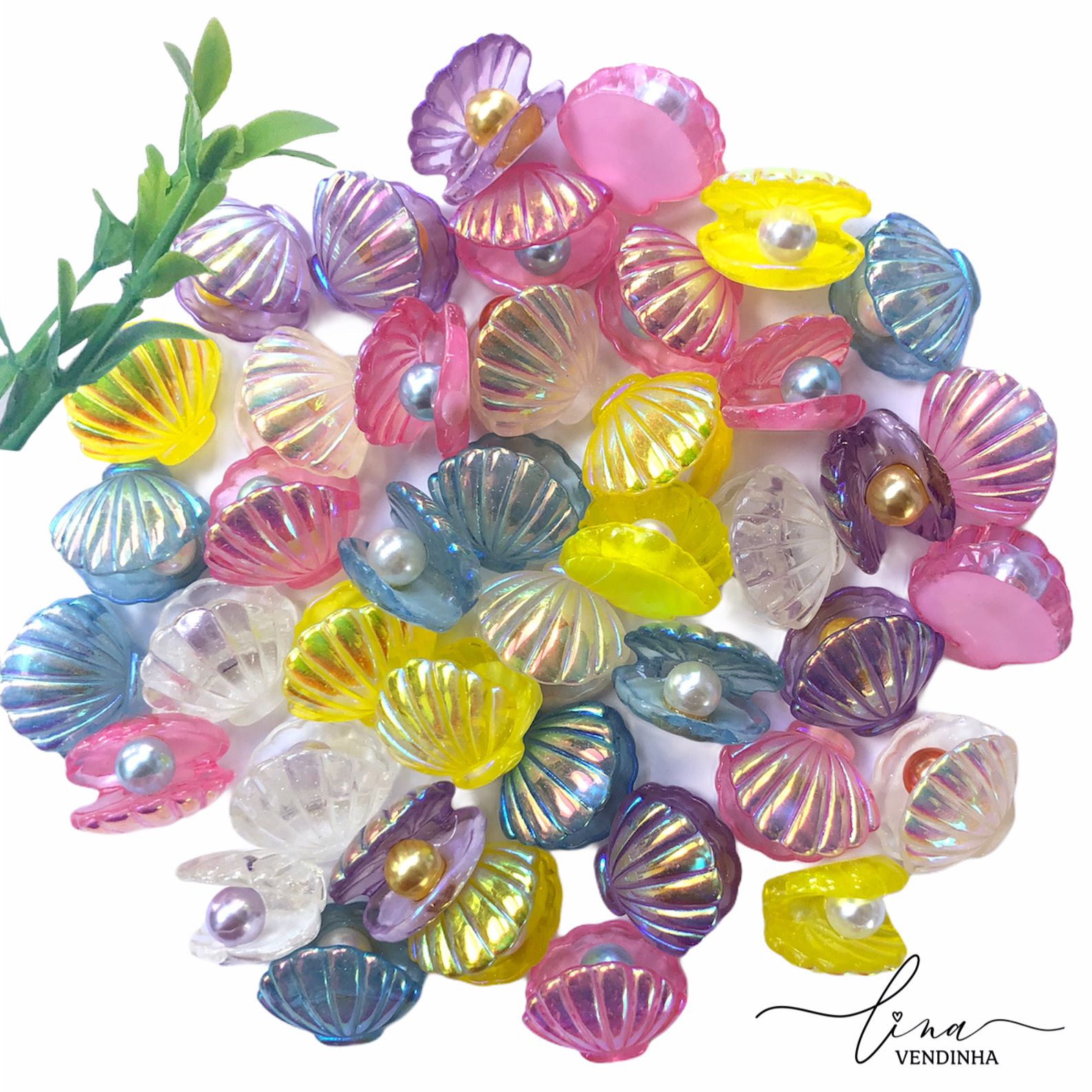 Concha Acrílico Aberta (2Uni.) | VENDINHALINA