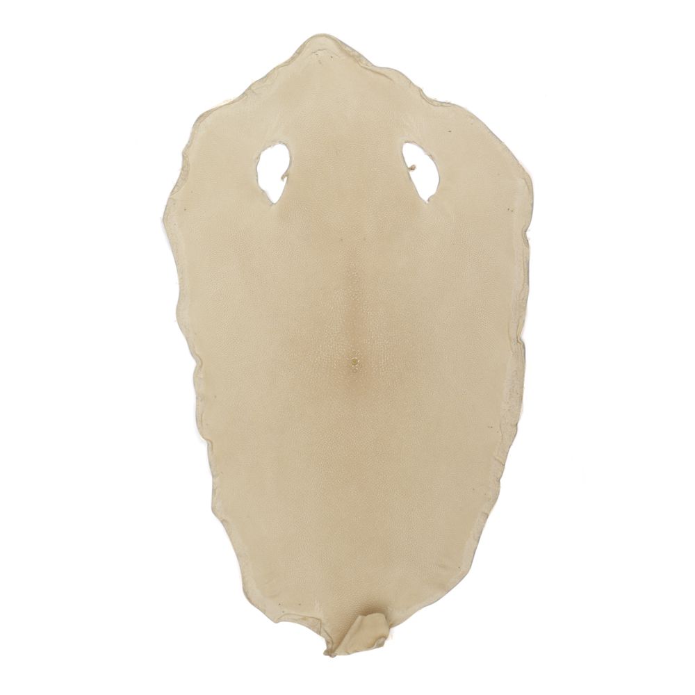 Couro de Arraia (Dasyatis spp.) - Crust | Exotic Couros