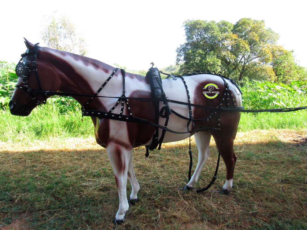 Arreio de Charrete em Fita de Nylon Bombado | SELARIACURRAL