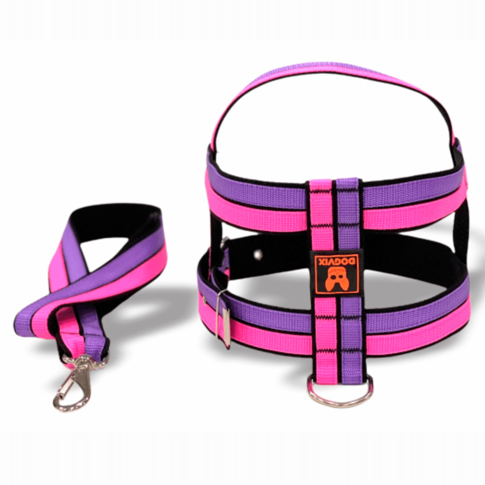 Peitoral Neon Pandora 40mm | Dogvix