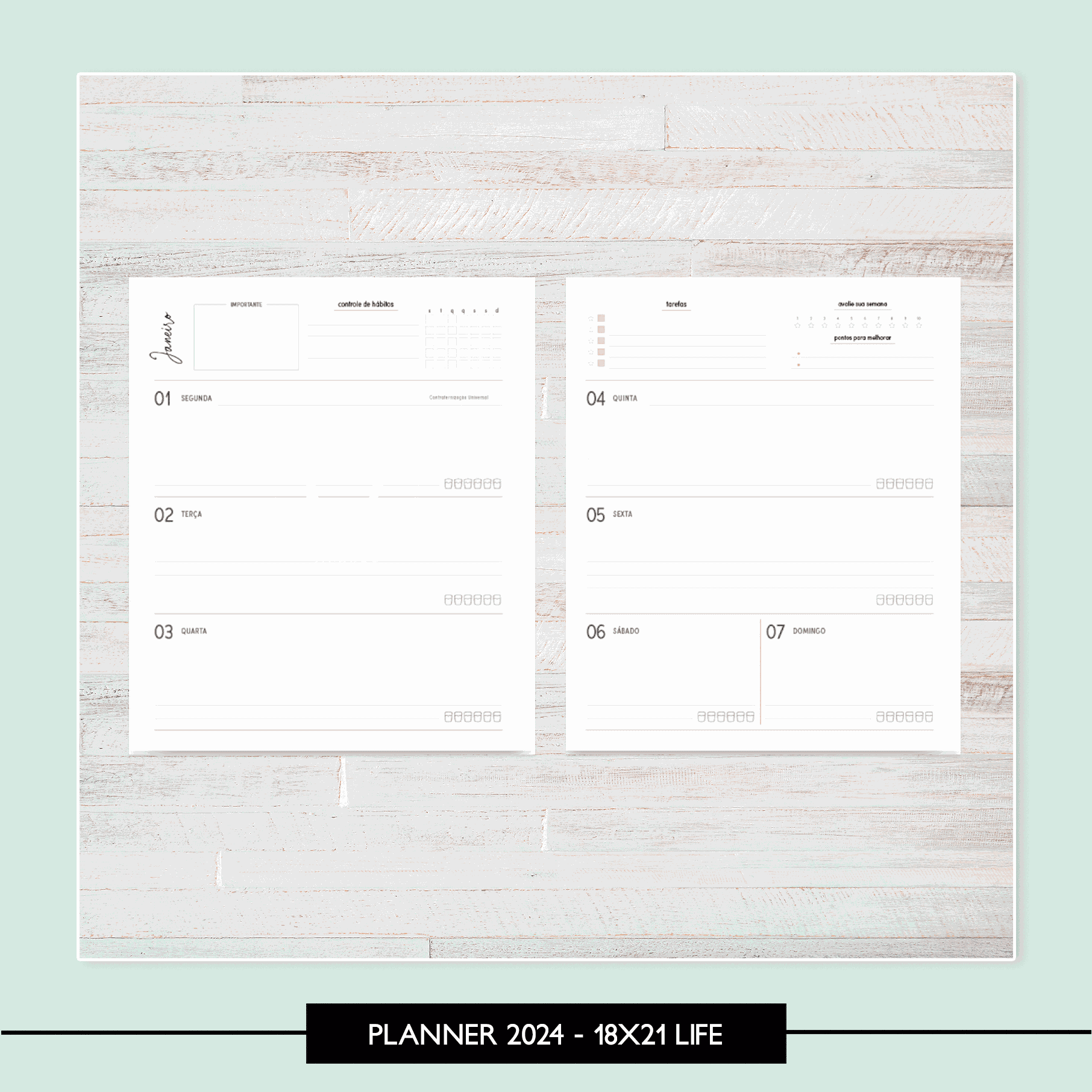 Planner 2024 18x21 LIFE Studio Office K