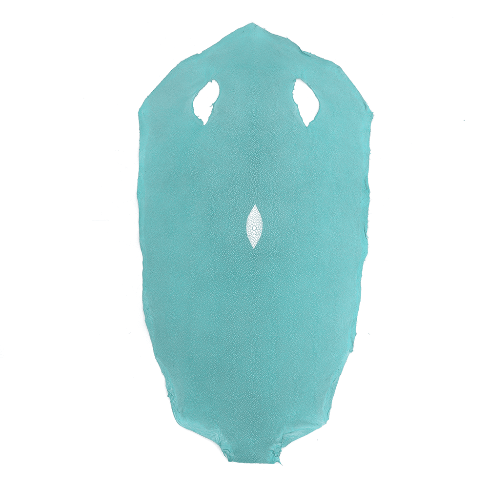 Couro de Arraia (Dasyatis spp.) - Turquesa 10" | Exotic Couros