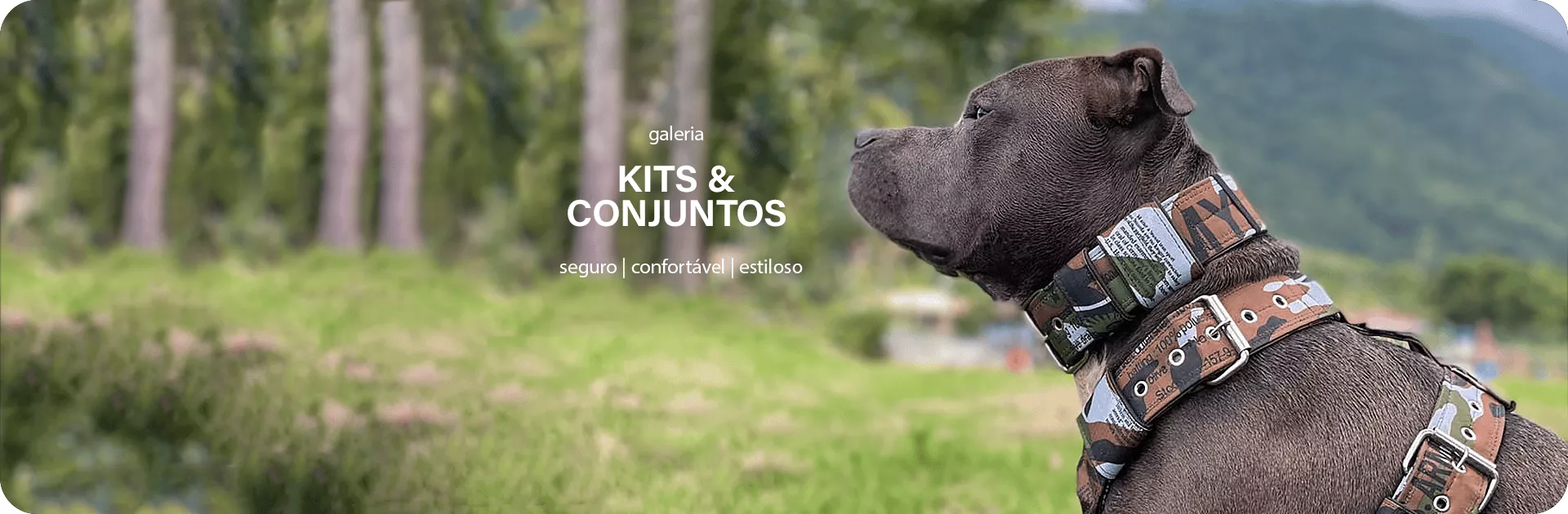KIT E CONJUNTOS | PETSPACE