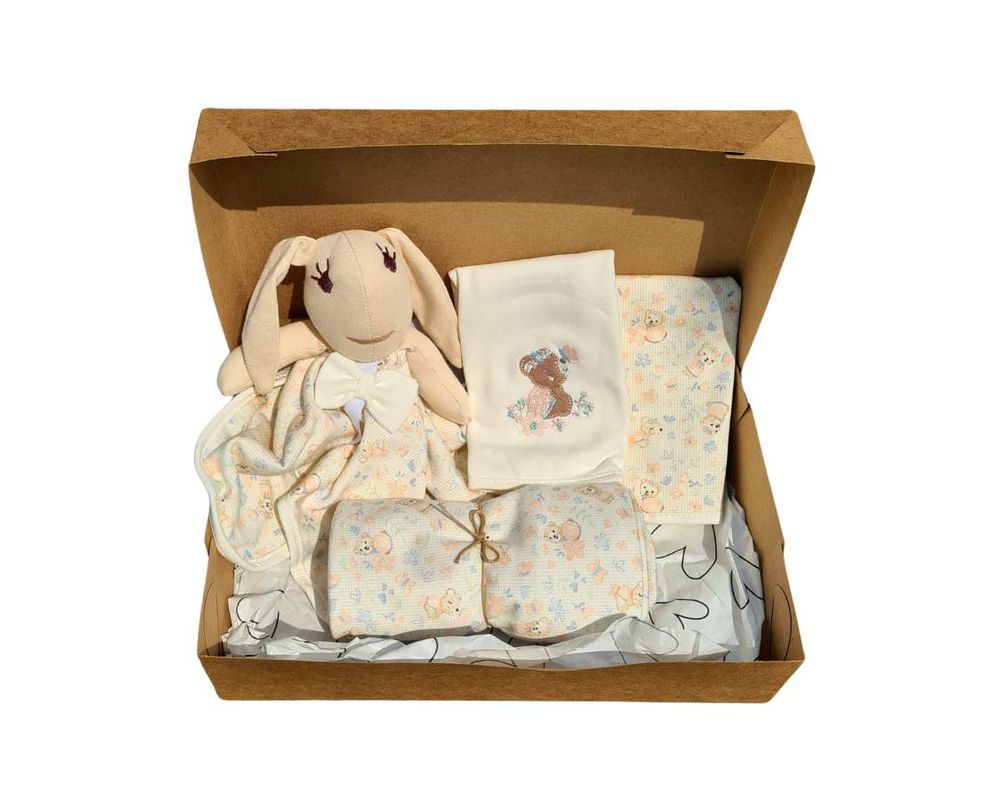 Caixa presente para Recém Nascido | Petit Papillon Bebê & Criança