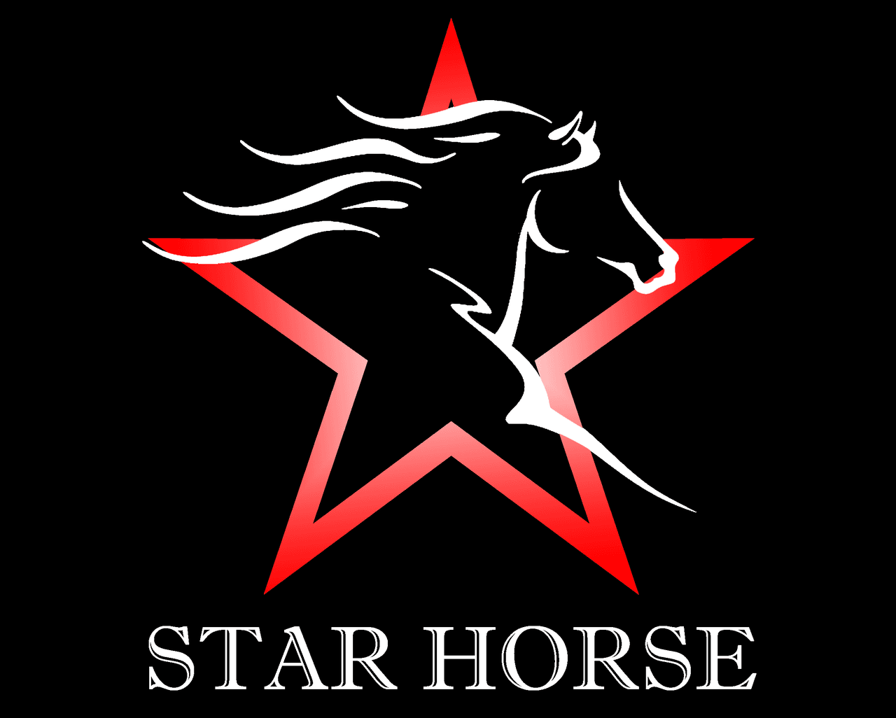 Star Horse | PROTEC HORSE - A LOJA DOS GRANDES CAMPEÕES