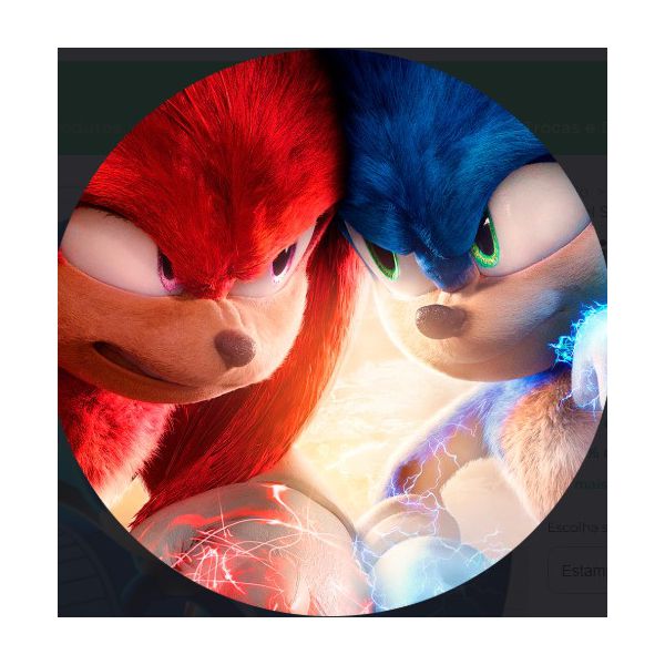 Capa Painel Sublimado - Sonic | PAINELPR