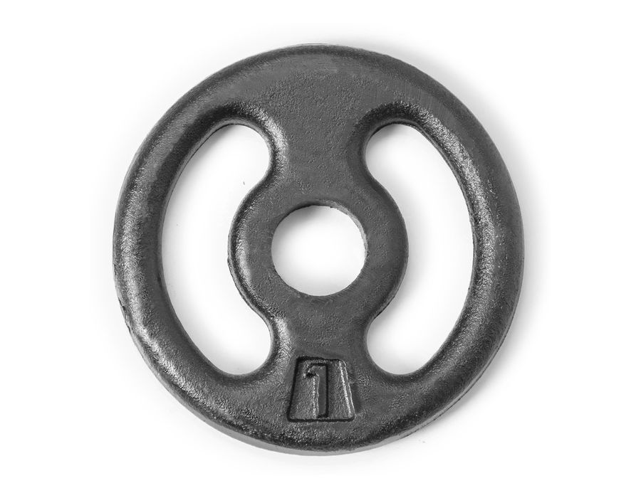 Anilha Pintada 1Kg | Equipamentos Line Fitness