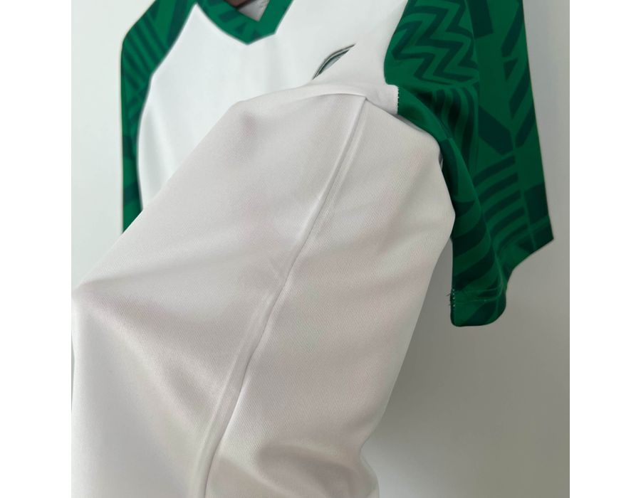 Camisa Palmeiras Edição Especial Branca 23-24 - Torcedor Masculina ...