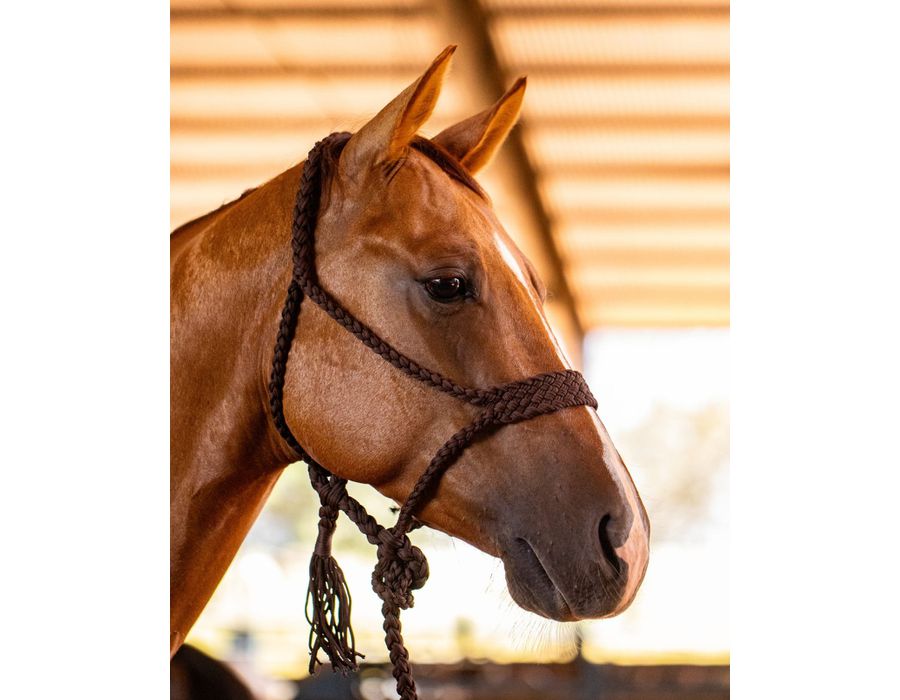 Cabresto Paracord para Cavalo Marrom Trançado e Reforçado | Alta ...