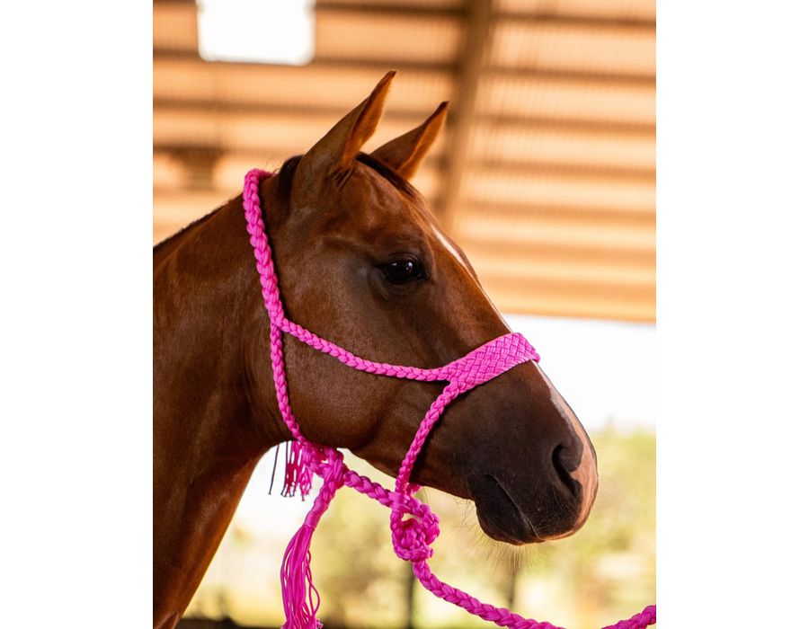 Cabresto Paracord para Cavalo Rosa Trançado e Reforçado | Alta ...