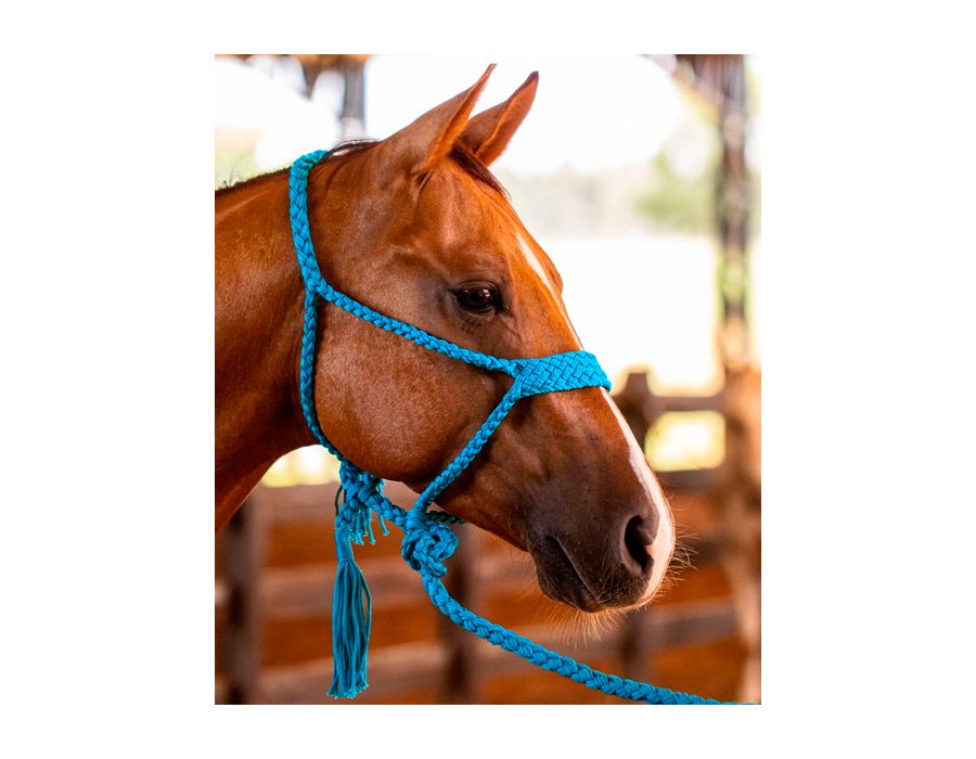 Cabresto Paracord para Cavalo Azul Trquesa Trançado e Reforçado | Alta ...