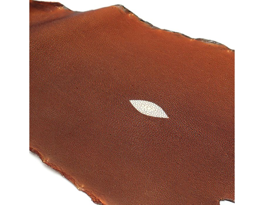 Couro de Arraia (Dasyatis spp.) - WHISKY 11" | Exotic Couros