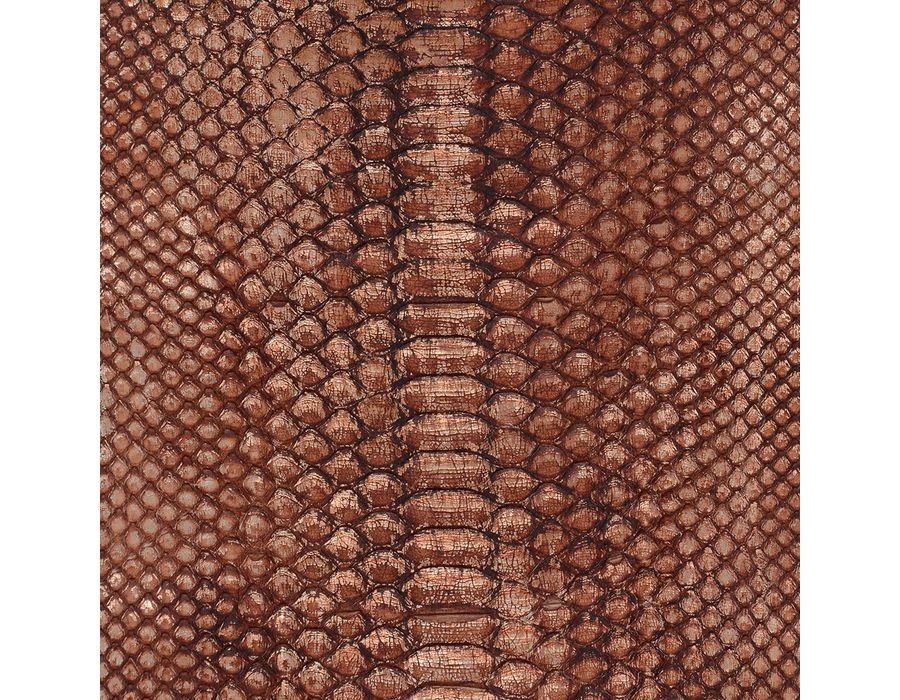 Couro de cobra acabado/curtido BC (Python molurus) - Dentrifico Carrot ...