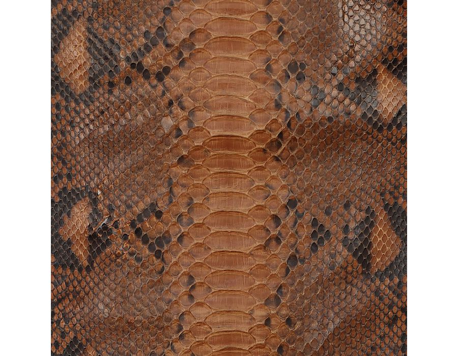 Couro de cobra acabado/curtido FC (Python reticulatus) - TABACO - BRILHO | Exotic Couros