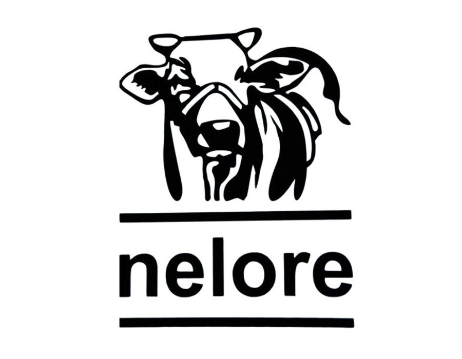 Adesivo Nelore | Atacado Selaria Pinheiro