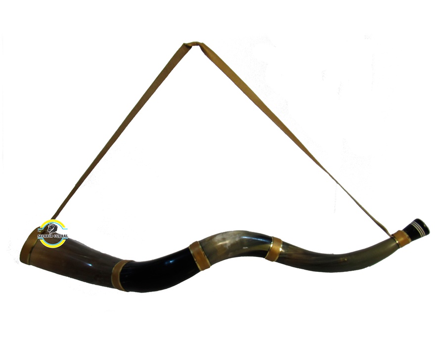 Berrante Profissional Alça Couro | SELARIACURRAL