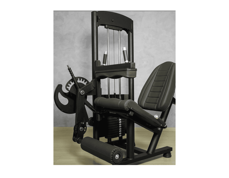 Cadeira Extensora e Flexora Máquina 80kg - Equipamento de Academia ...