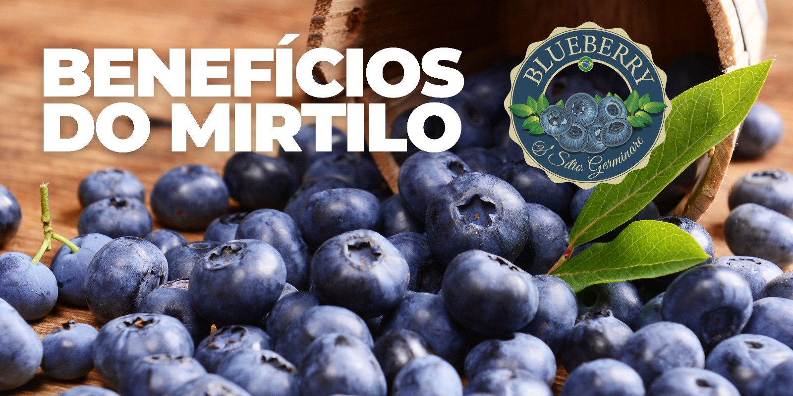 Beneficios | Sitio Germinare